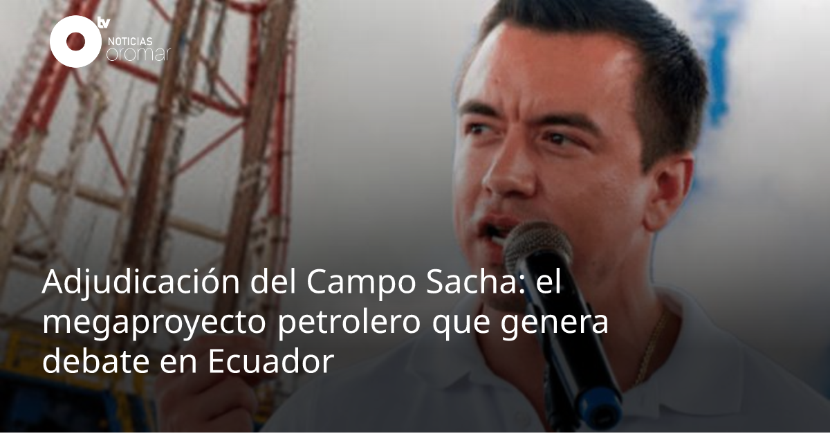 Adjudicación del Campo Sacha: el megaproyecto petrolero que genera ...