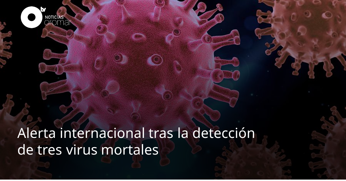 Alerta internacional tras la detección de tres virus mortales ...