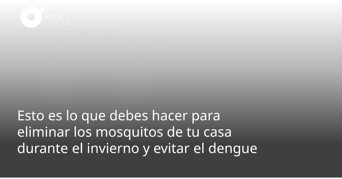 Esto es lo que debes hacer para eliminar los mosquitos de tu casa durante el invierno y evitar ...