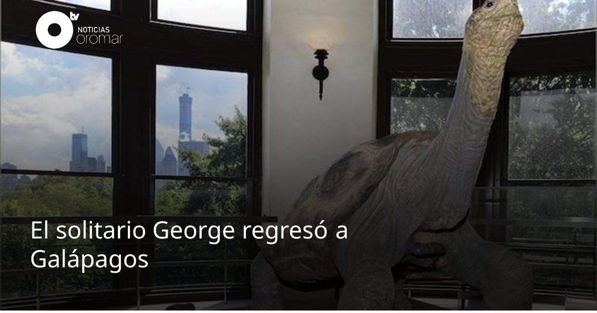 El solitario George regresó a Galápagos
