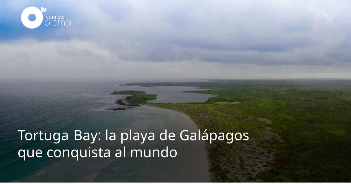 Tortuga Bay: la playa de Galápagos que conquista al mundo | Noticias Oromar